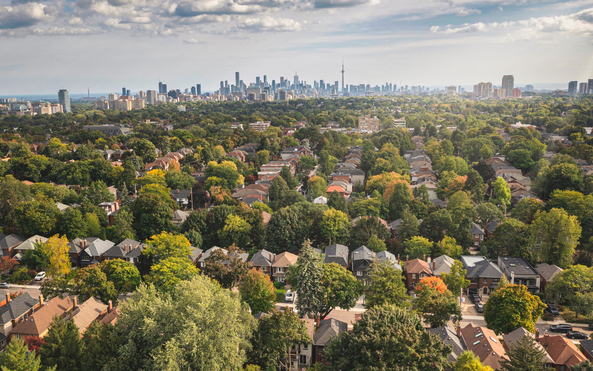 Allenby - A Neighbourhood Guide by SHANE